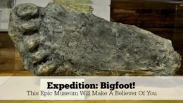 Expedition Bigfoot: This Epic Museum Will Make A Believer Of You