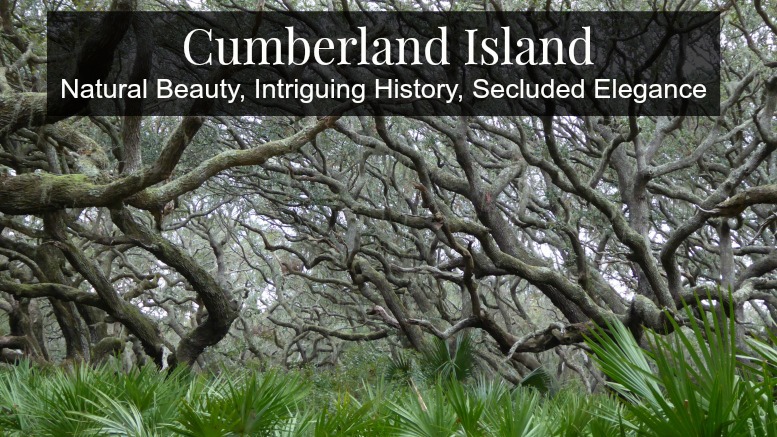 Discover the Cherished Secrets of Remote Cumberland Island, Ga.