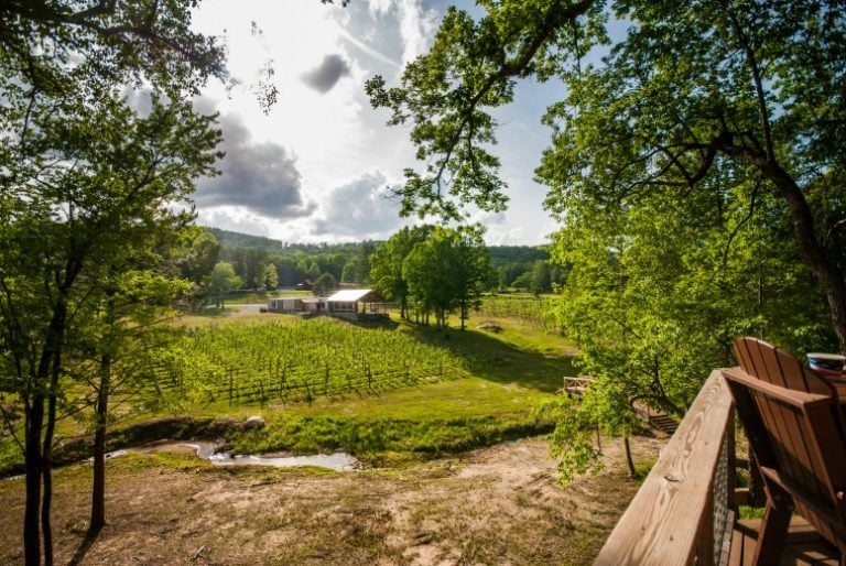 Blue Ridge Treehouse: 5+ Reasons to Stay at this Amazing Hideaway