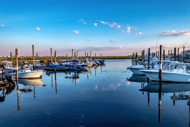 10+ Myrtle Beach Boat Tours Perfect For Soaking Up The Sun