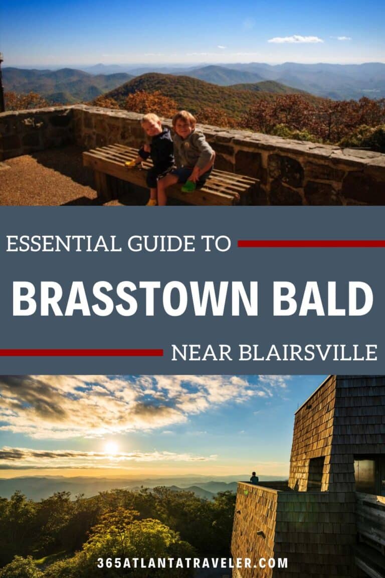 Brasstown Bald: What To Expect on Your Epic Fall Summit Hike (2024)