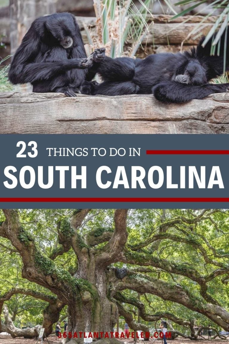 23+ Best Things To Do in South Carolina, Y’all