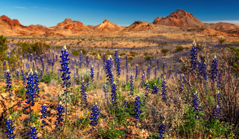 11 Amazing Kid Friendly Weekend Getaways in Texas