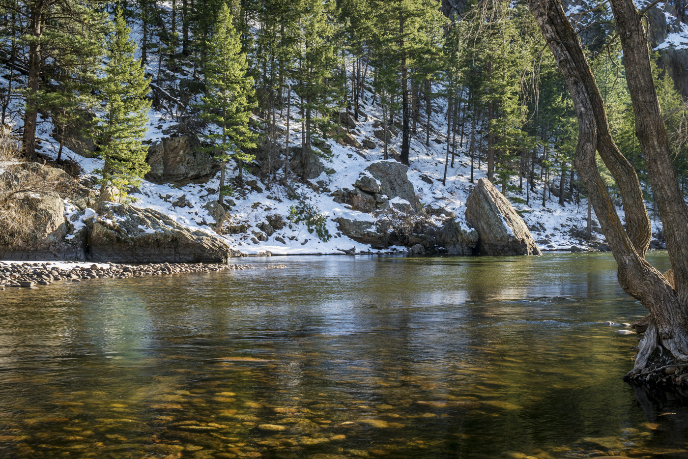 13+ Amazing Things To Do in Fort Collins, Colorado