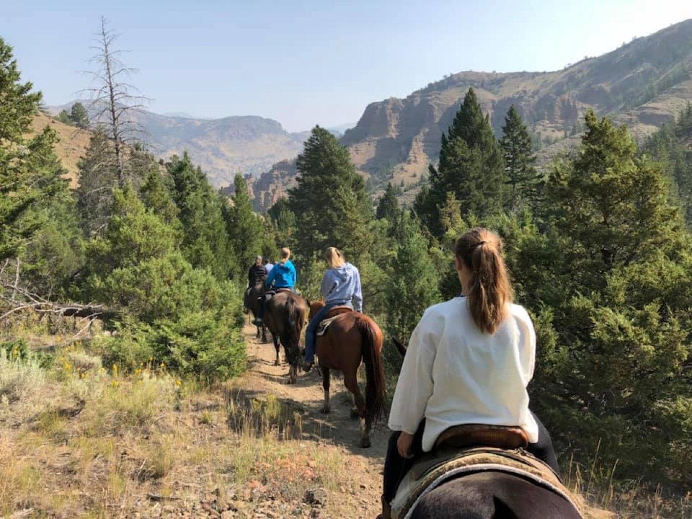 11 Awesome Things To Do in Cody WY You Can’t Miss