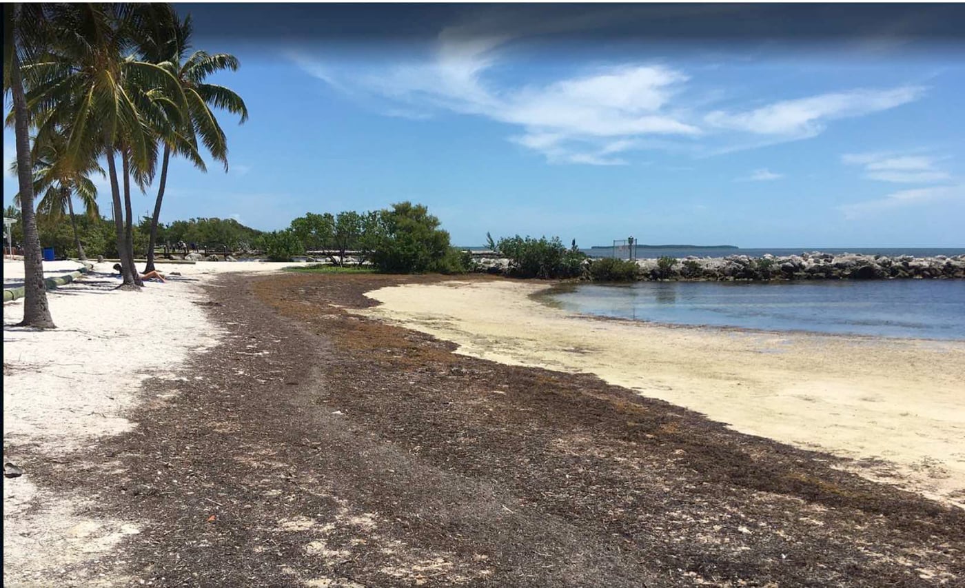 15 Fun Things To Do in Key Largo Adventurers Will Love