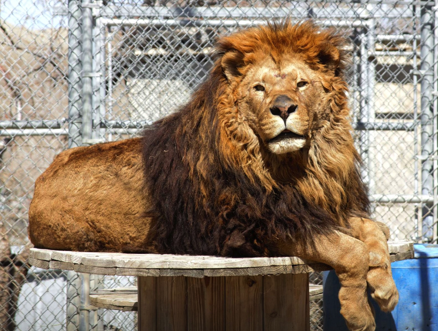 17+ Super Fun Things To Do in Reno You Can’t Miss