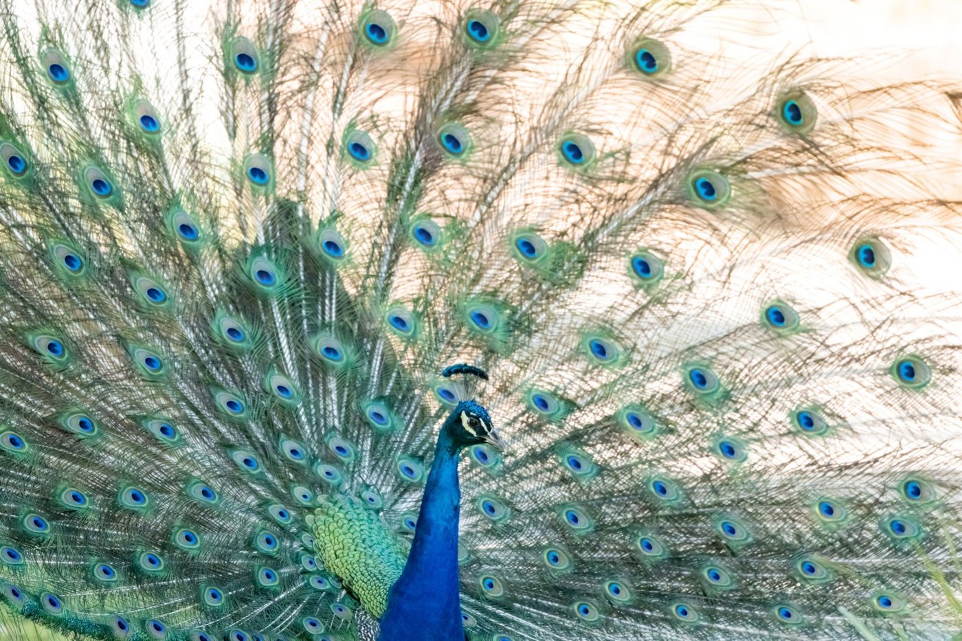 18 Awesome Things To Do in Tulsa Your Family Will Love