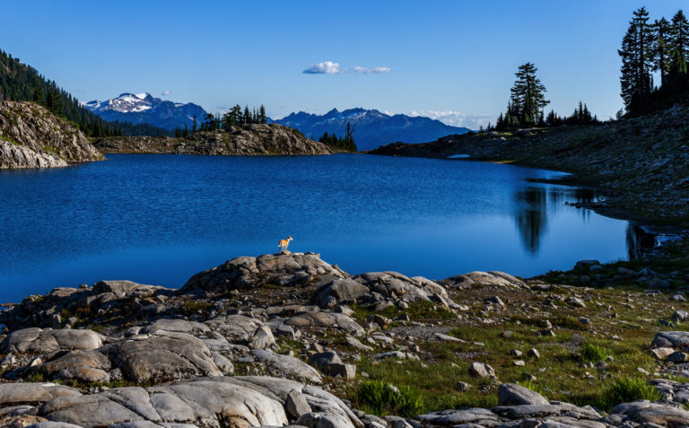 19 Amazing Things To Do in Bellingham, Washington