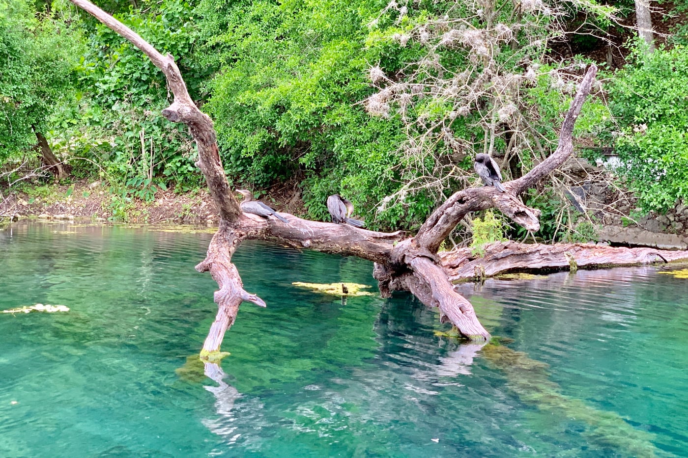 15 Fantastic Things To Do in San Marcos, Texas