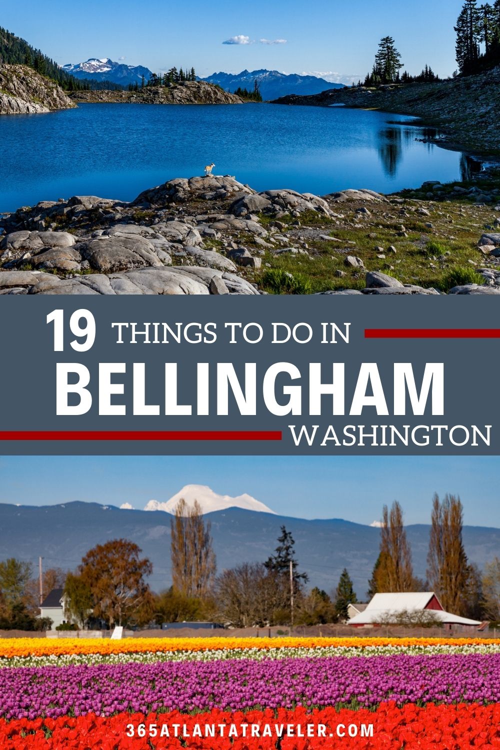 19 Amazing Things To Do in Bellingham, Washington