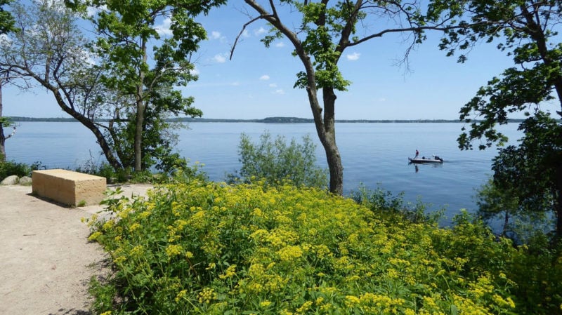 23+ Fun Things To Do in Madison WI You’ll Love