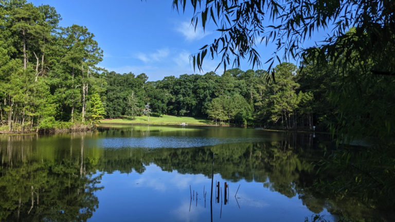 19 Things To Do in Fayetteville NC You’ll Love