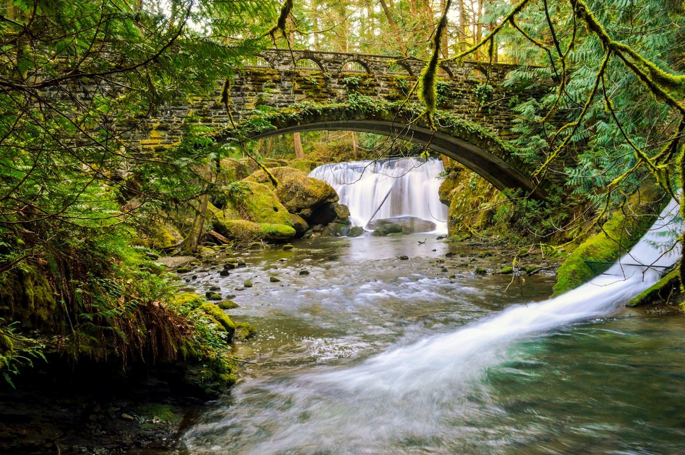 19 Amazing Things To Do in Bellingham, Washington