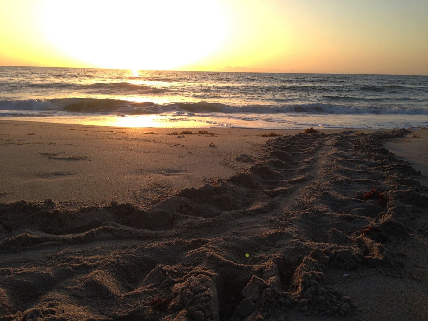 17 Awesome Things To Do in Vero Beach, Florida