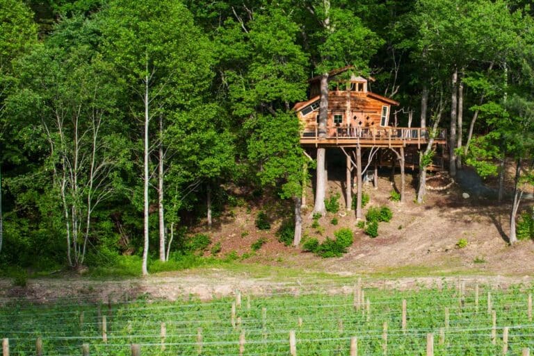 Blue Ridge Treehouse: 5+ Reasons to Stay at this Amazing Hideaway