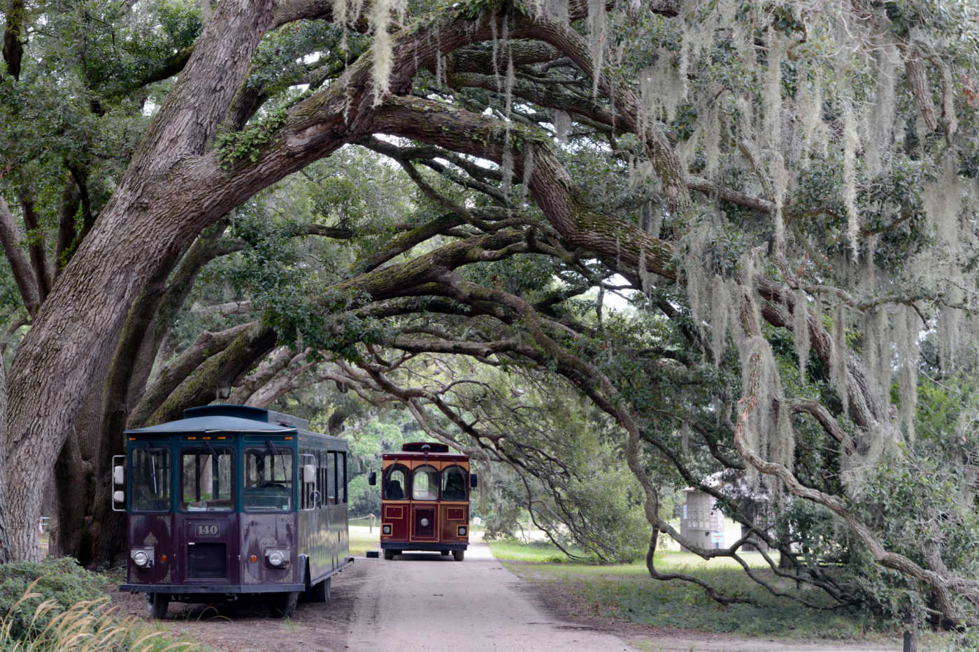 These 35+ Amazing Charleston Tours Let You Make the Most of the Holy City