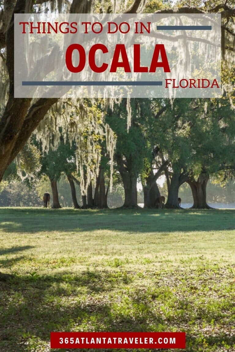 14 Amazing Things To Do in Ocala You Can’t Miss