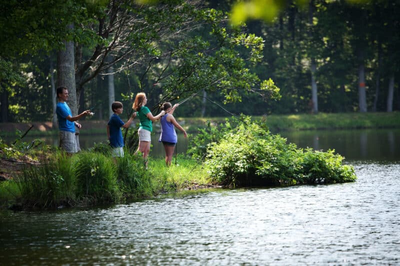 21 FREE THINGS TO DO IN MCDONOUGH GA (AND ALL OF HENRY COUNTY)