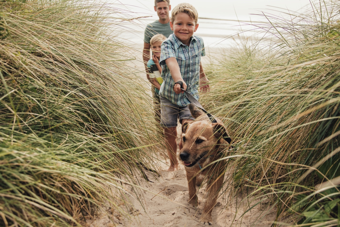 25+ Beautiful Dog Friendly Beaches in Florida for Fido’s Next Visit