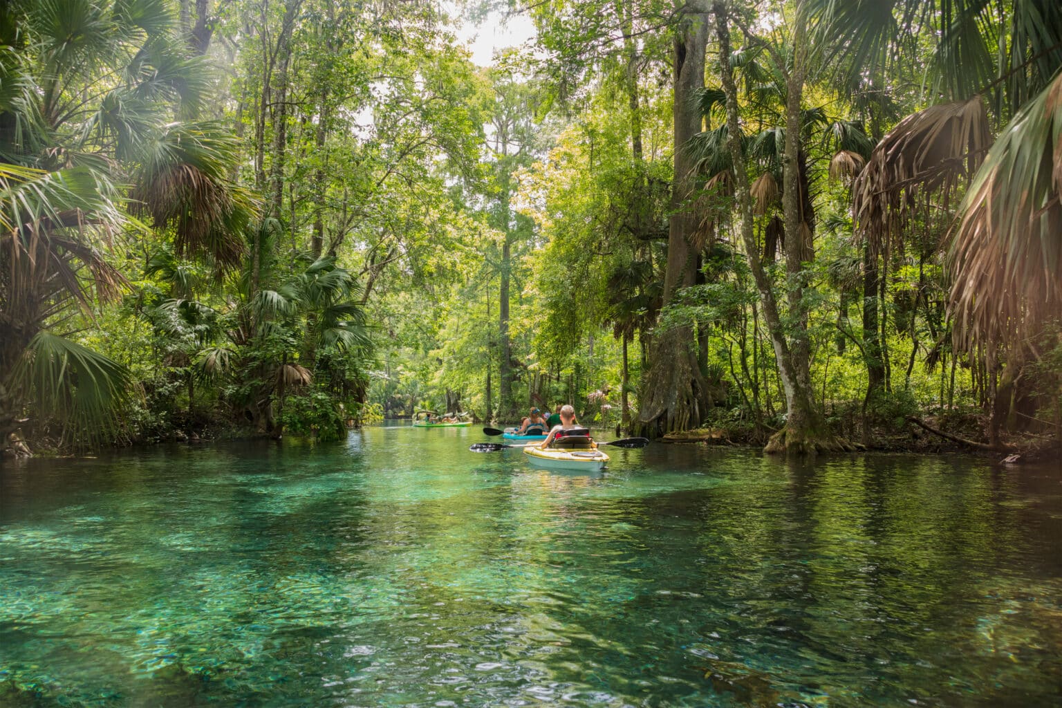 14 Amazing Things To Do in Ocala You Can’t Miss