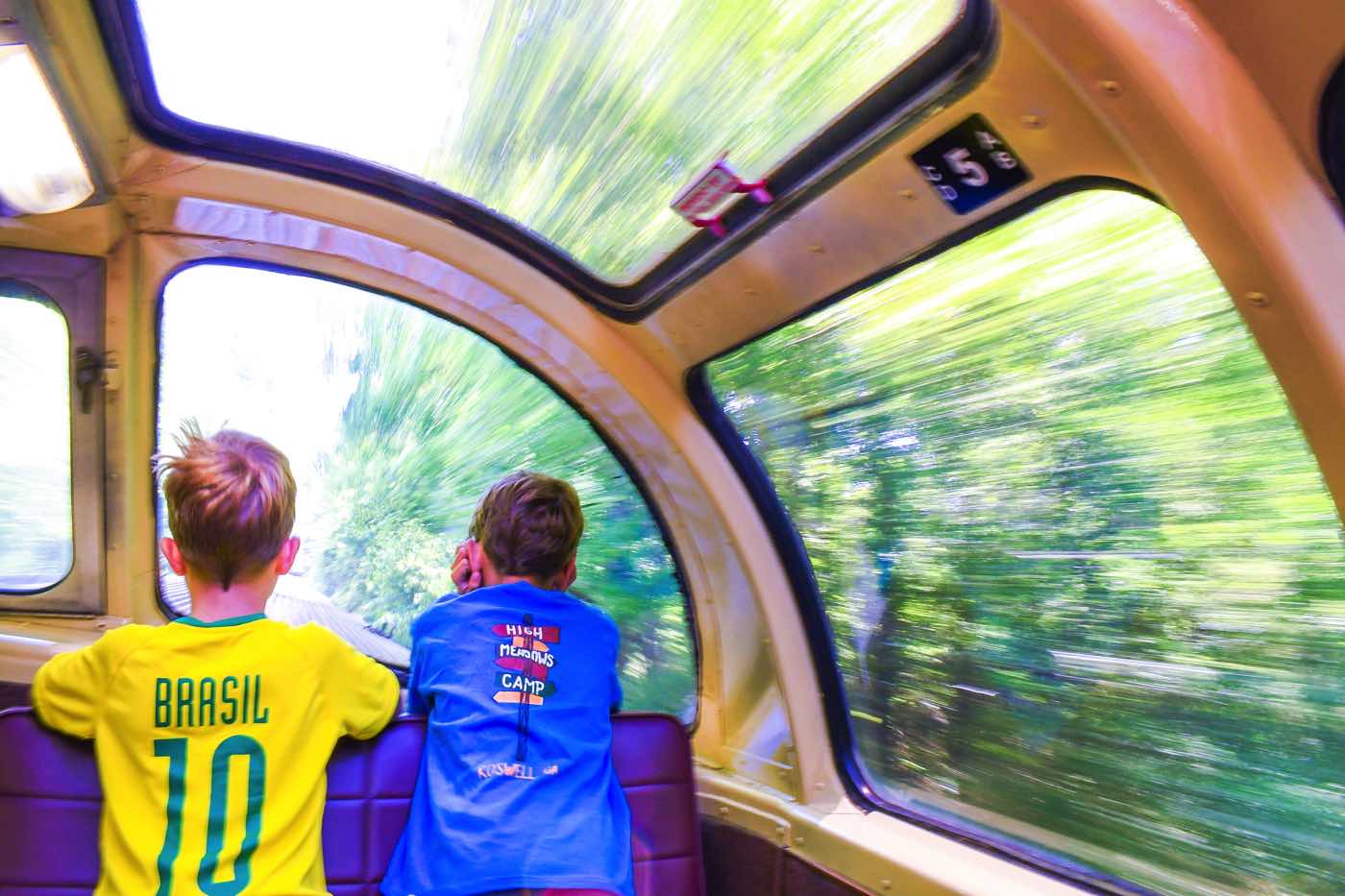 5 Tvr Etowah Depot Train Ride Tips for a Sensational Dome Car Adventure ...