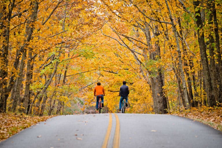 Georgia Leaf Watch: 13 Best Georgia State Parks for Fall Leaf Color