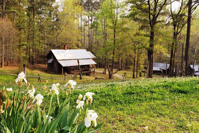 Jarrell Plantation: Visit for the Real Story of Life Pre and Post Civil War