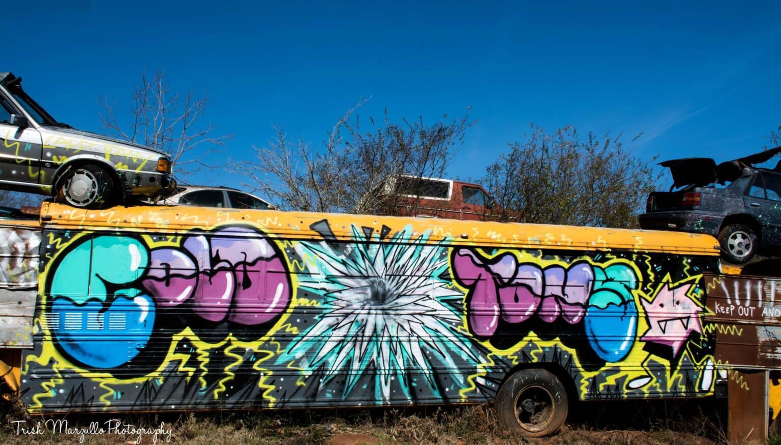 THE WEIRD, WACKY AND WONDERFUL SCHOOL BUS GRAVEYARD
