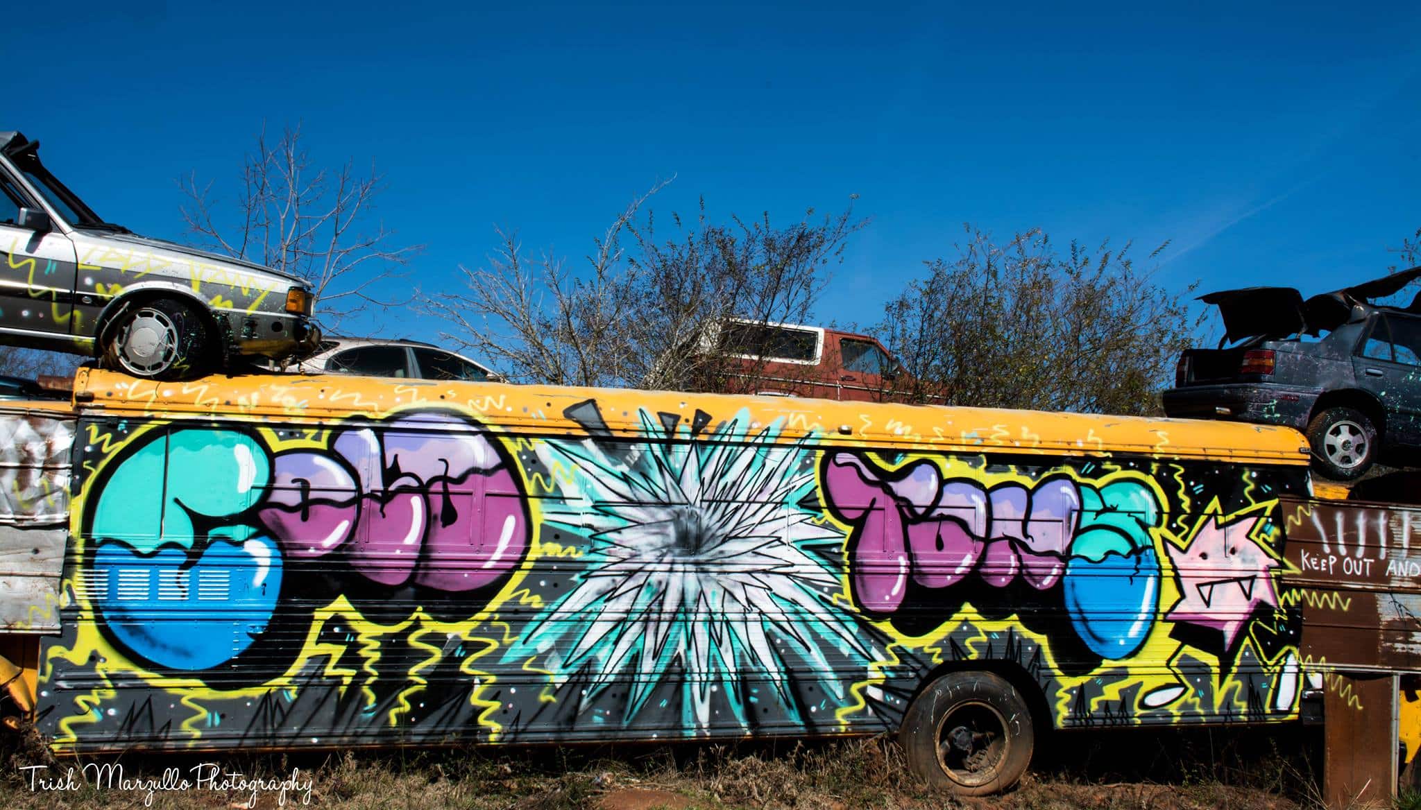 THE WEIRD, WACKY AND WONDERFUL SCHOOL BUS GRAVEYARD