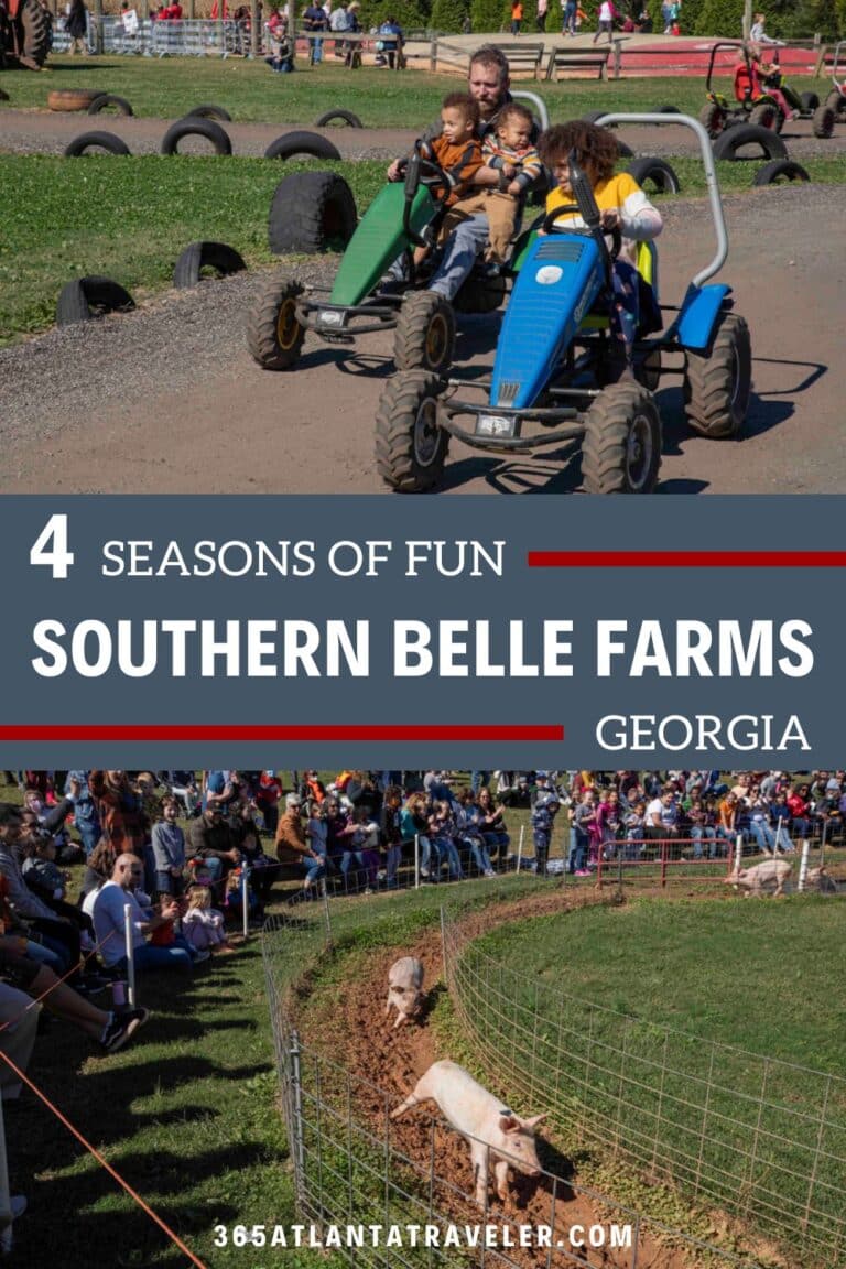 Southern Belle Farm: Four Delightful Seasons of Family Fun (Video)