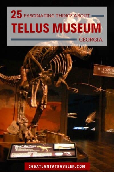 Tellus Museum: 25 Fascinating Things You Don't Want Your Kids To Miss