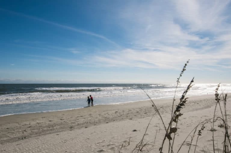 7+ Relaxing Things To Do in Georgetown SC for a Calming Getaway