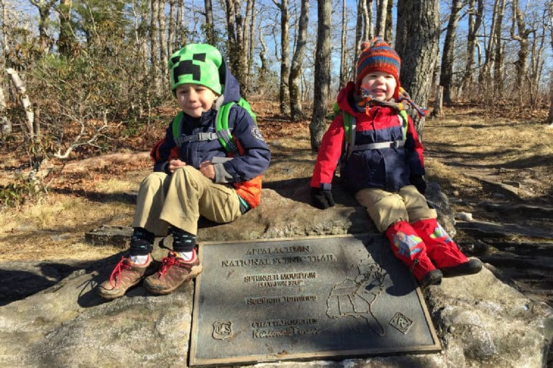 Springer Mountain Trail