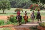 Southern Cross Ranch: This Genuine Dude Ranch in Georgia Is Beckoning