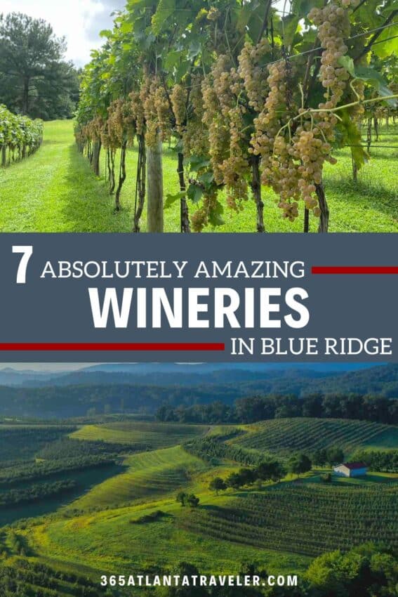 7 Amazing Wineries in Blue Ridge Ga (and Surrounding Areas)
