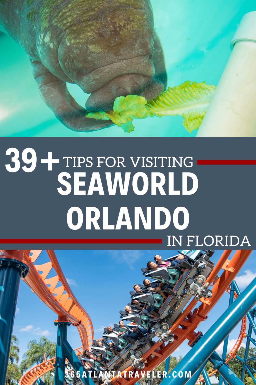 SeaWorld Orlando: 39+ Secrets for an Amazing Visit