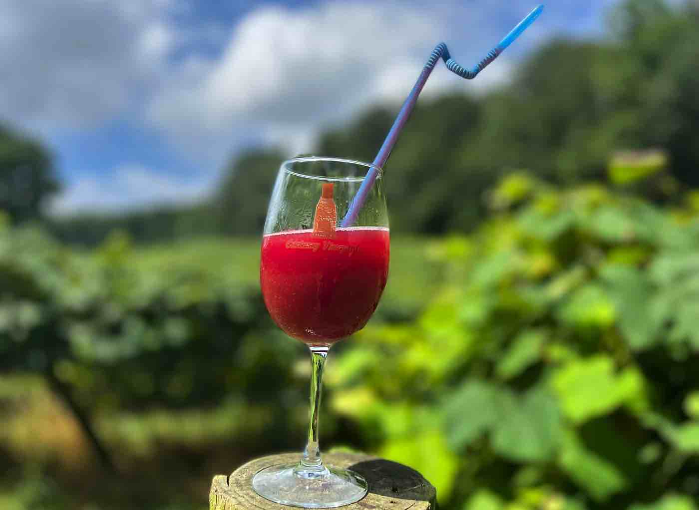 7 Amazing Wineries in Blue Ridge Ga (and Surrounding Areas)