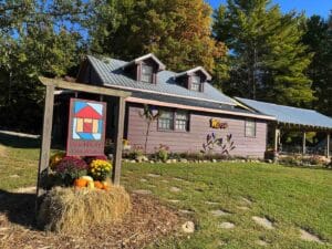 7 Amazing Wineries in Blue Ridge Ga (and Surrounding Areas)