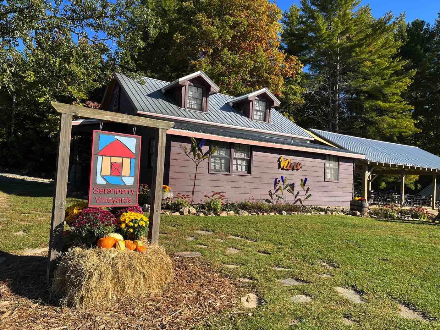 7 Amazing Wineries in Blue Ridge Ga (and Surrounding Areas)