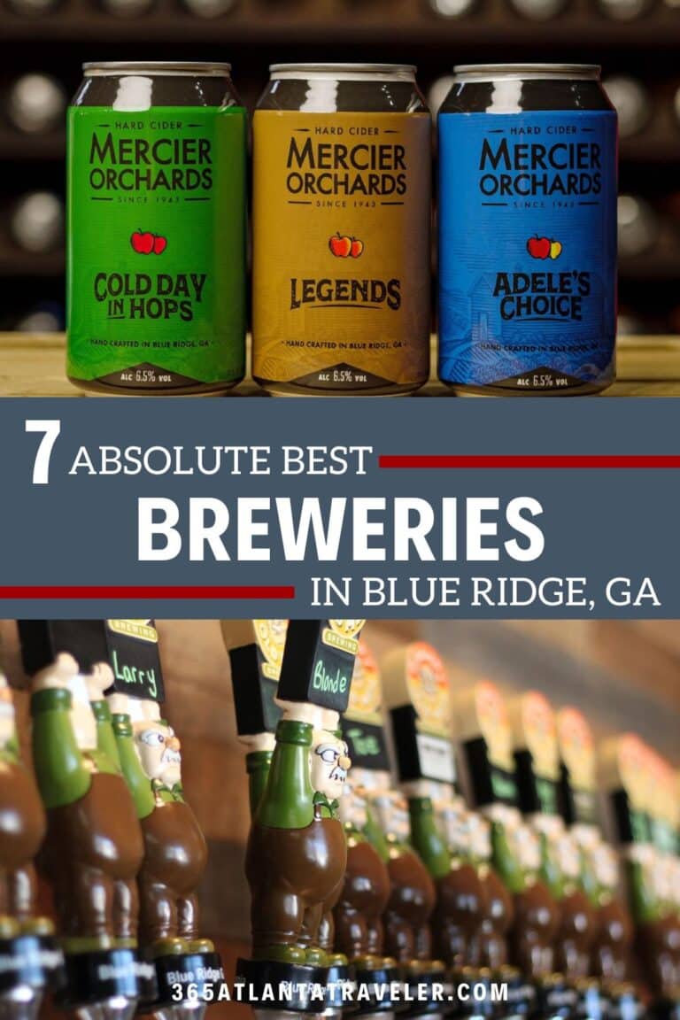 Looking for the Perfect Blue Ridge Ga Brewery? Here Are 7 Great Options