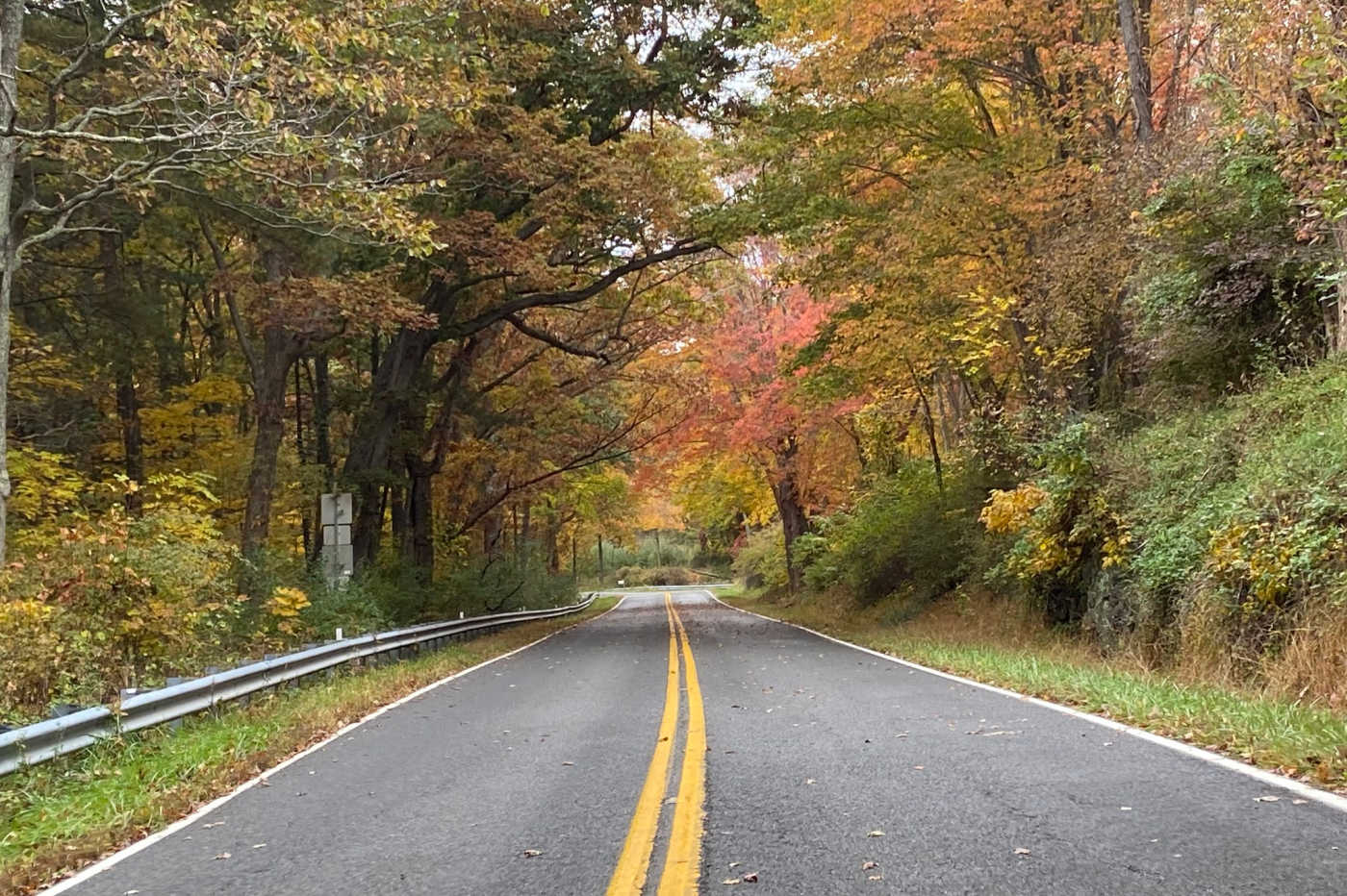 25 Absolute Best Things To Do in Wytheville VA You'll Love