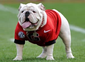 Former UGA Mascot Uga X Has Sadly Passed Away