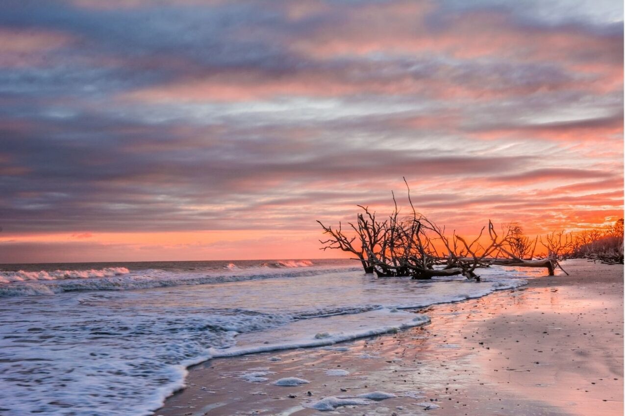 This SC Island Offers the Beach Vacation You Didn’t Know You Needed