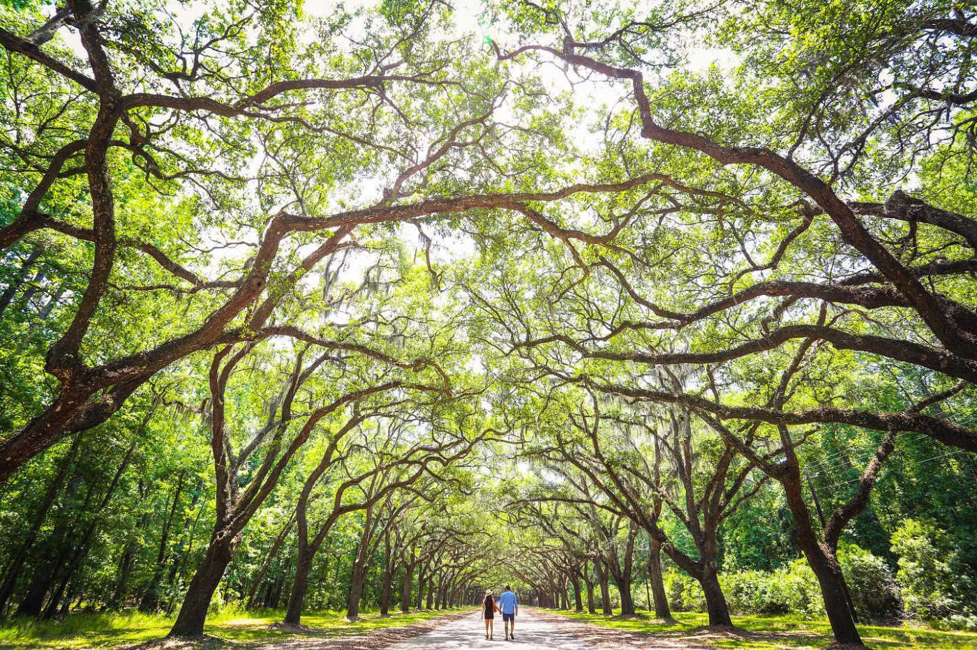 Action! Check Out Georgia State Parks' Self-Guided Film Trail