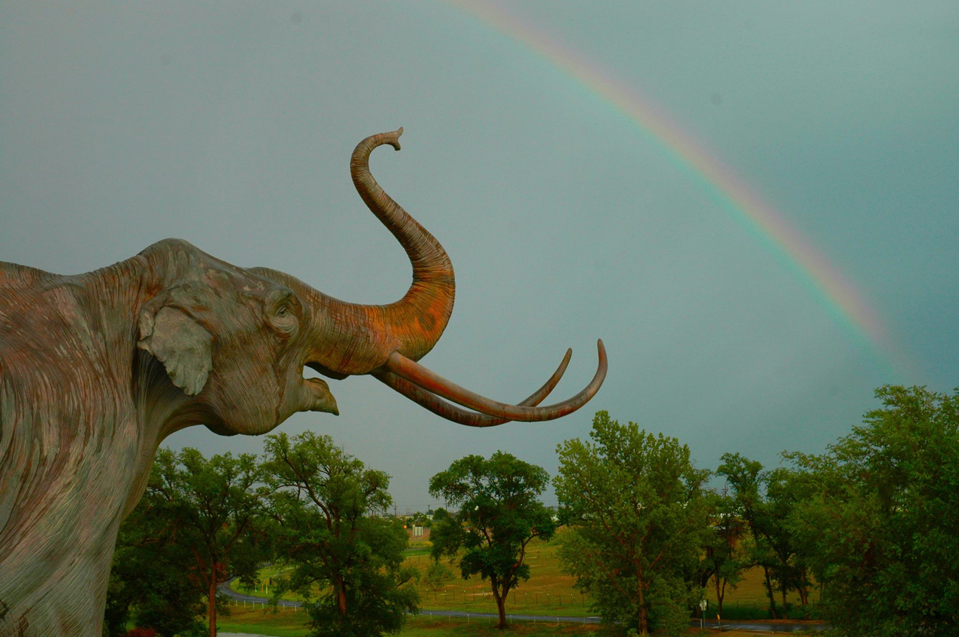 17+ Amazingly Fun Things To Do in Lubbock, Texas