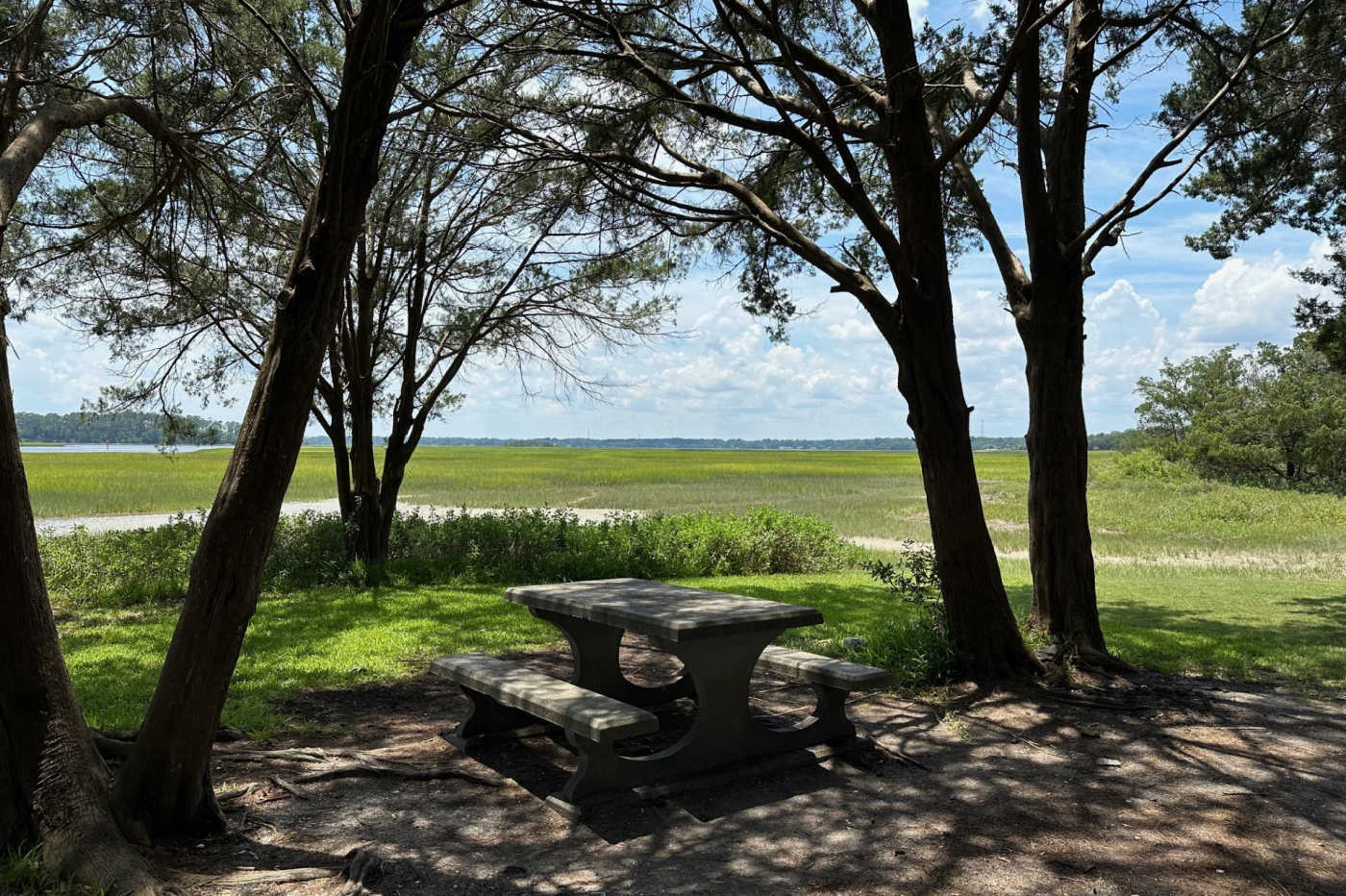 Butter Bean Beach: A Guide to Savannah's "Secret" Beach