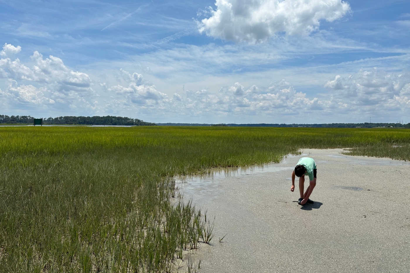 Butter Bean Beach: A Guide to Savannah's "Secret" Beach