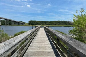 Butter Bean Beach: A Guide to Savannah's "Secret" Beach