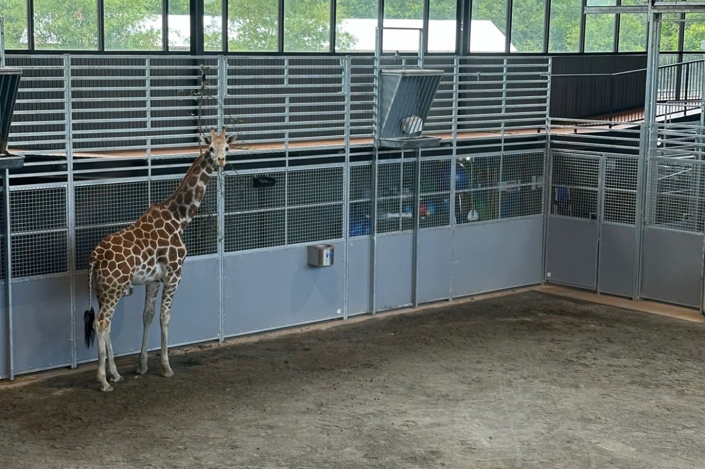 We Went To Georgia Safari Conservation Park & Here's What We Thought Of It